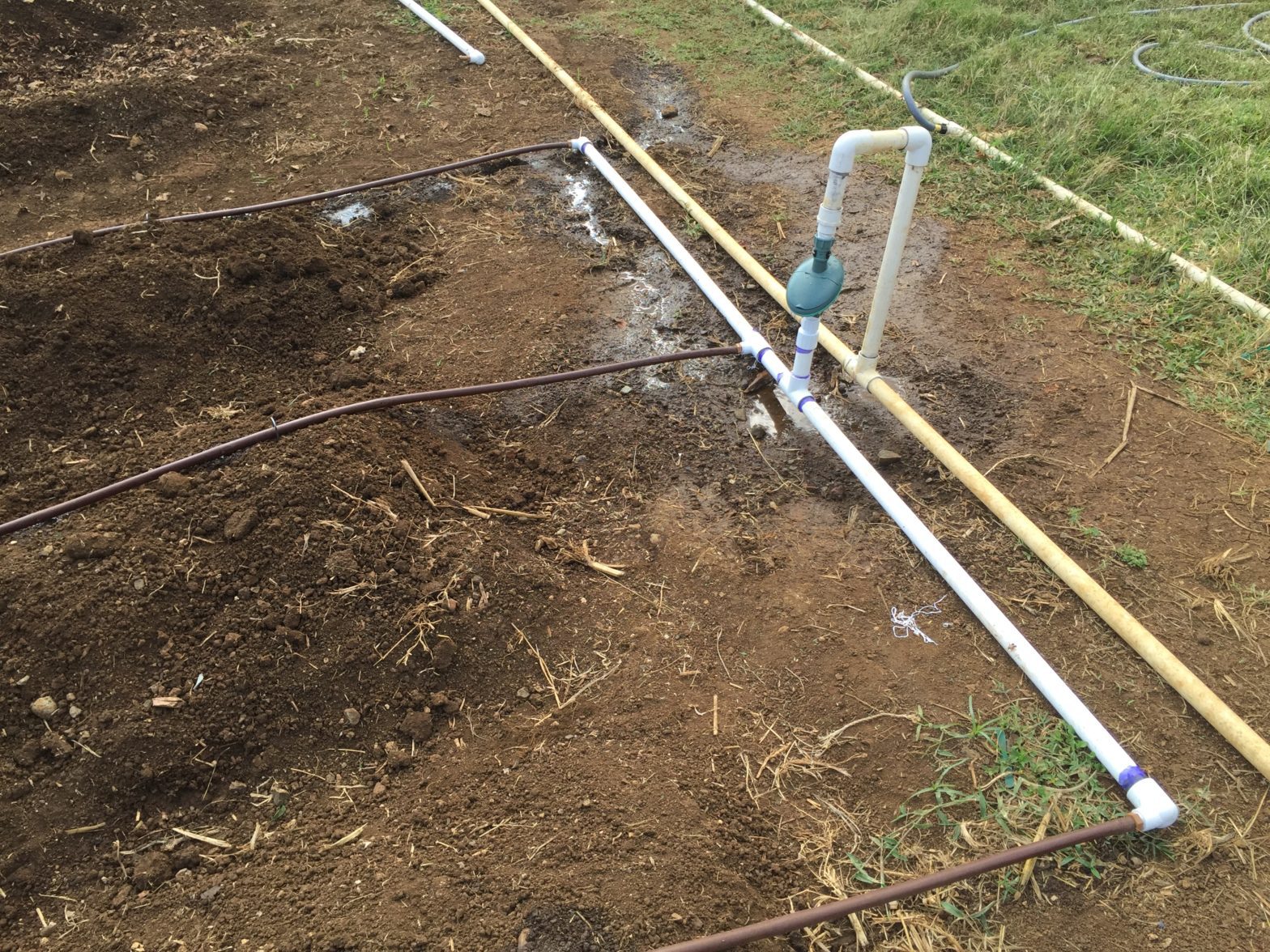 Drip Irrigation System - Augusto Decastro